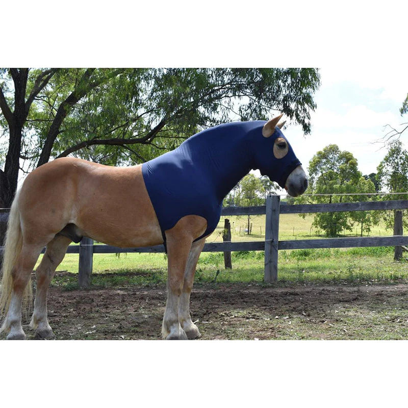 SKINNY HOOD – Melwood Equestrian - Saddlery & Feeds